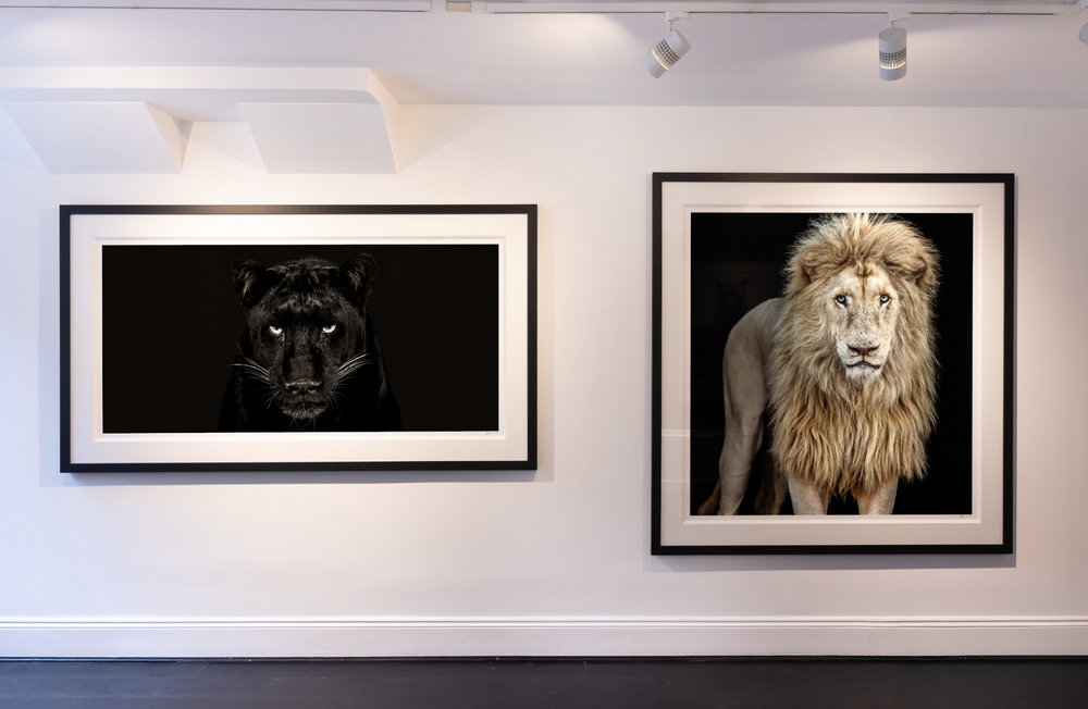 Robert Indiana Art for Sale | Maddox Gallery