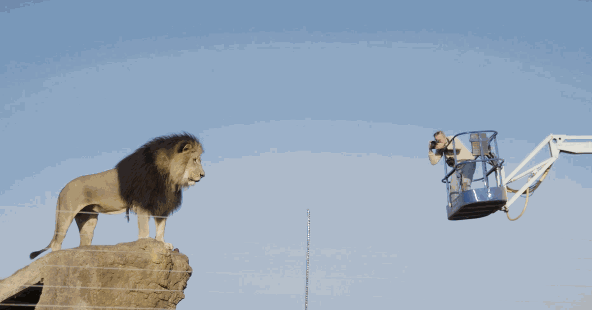 DAVID YARROW | Maddox Gallery